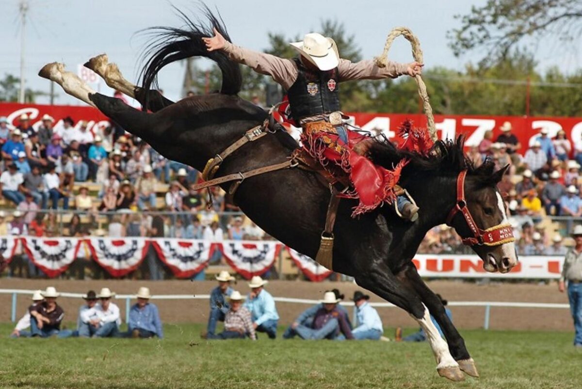 Top cowboys, cowgirl to be inducted into Utah Cowboy museum | News ...